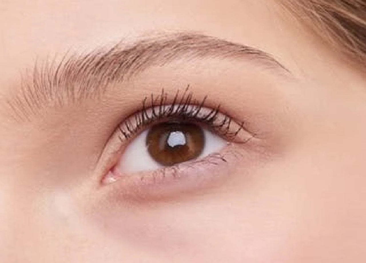 What is Cream Skin? The New Korean Beauty Trend For 2020 – Procoal