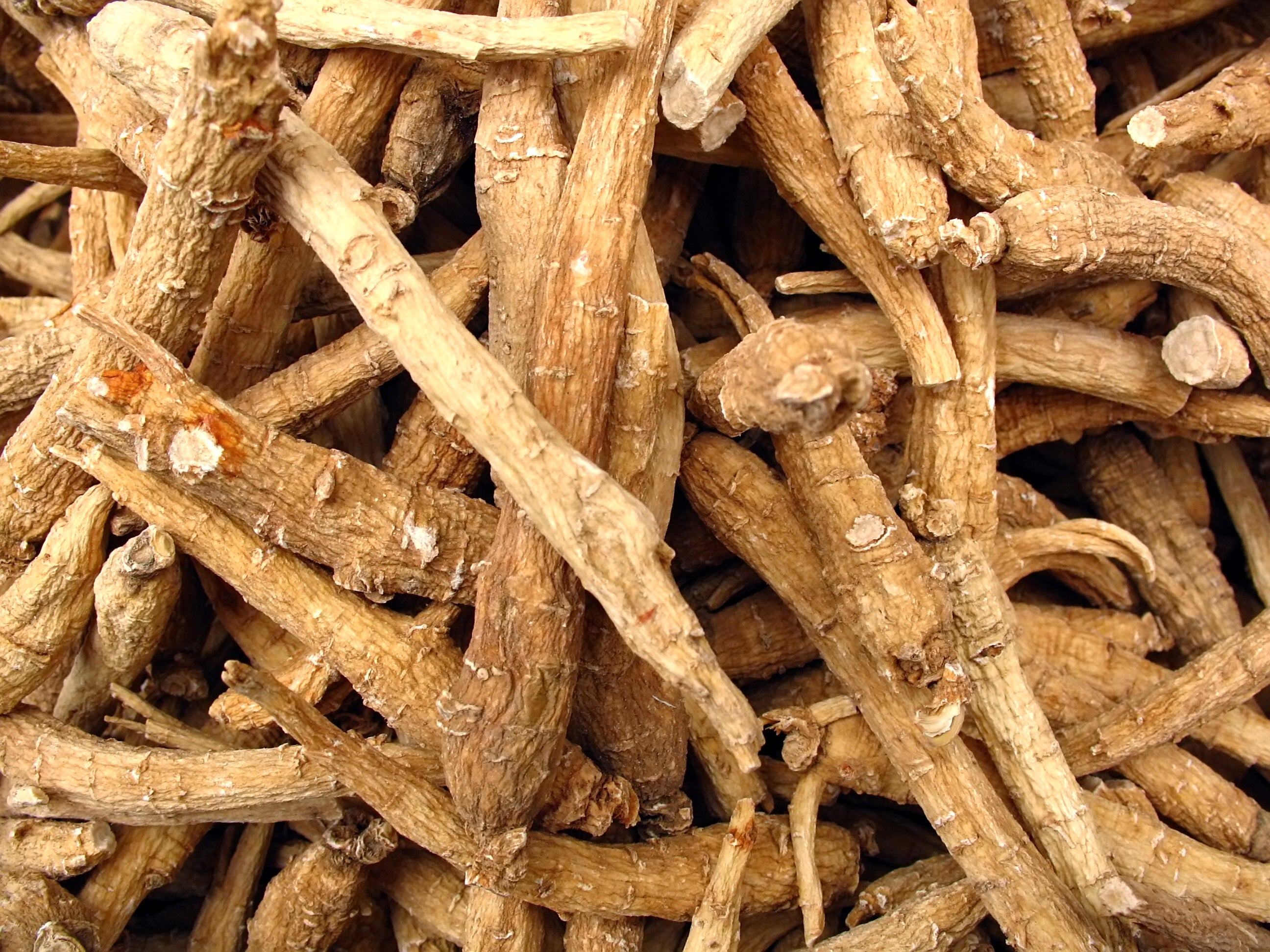 Panax Ginseng Root Extract Explained, Skin Benefits, INCI- Procoal